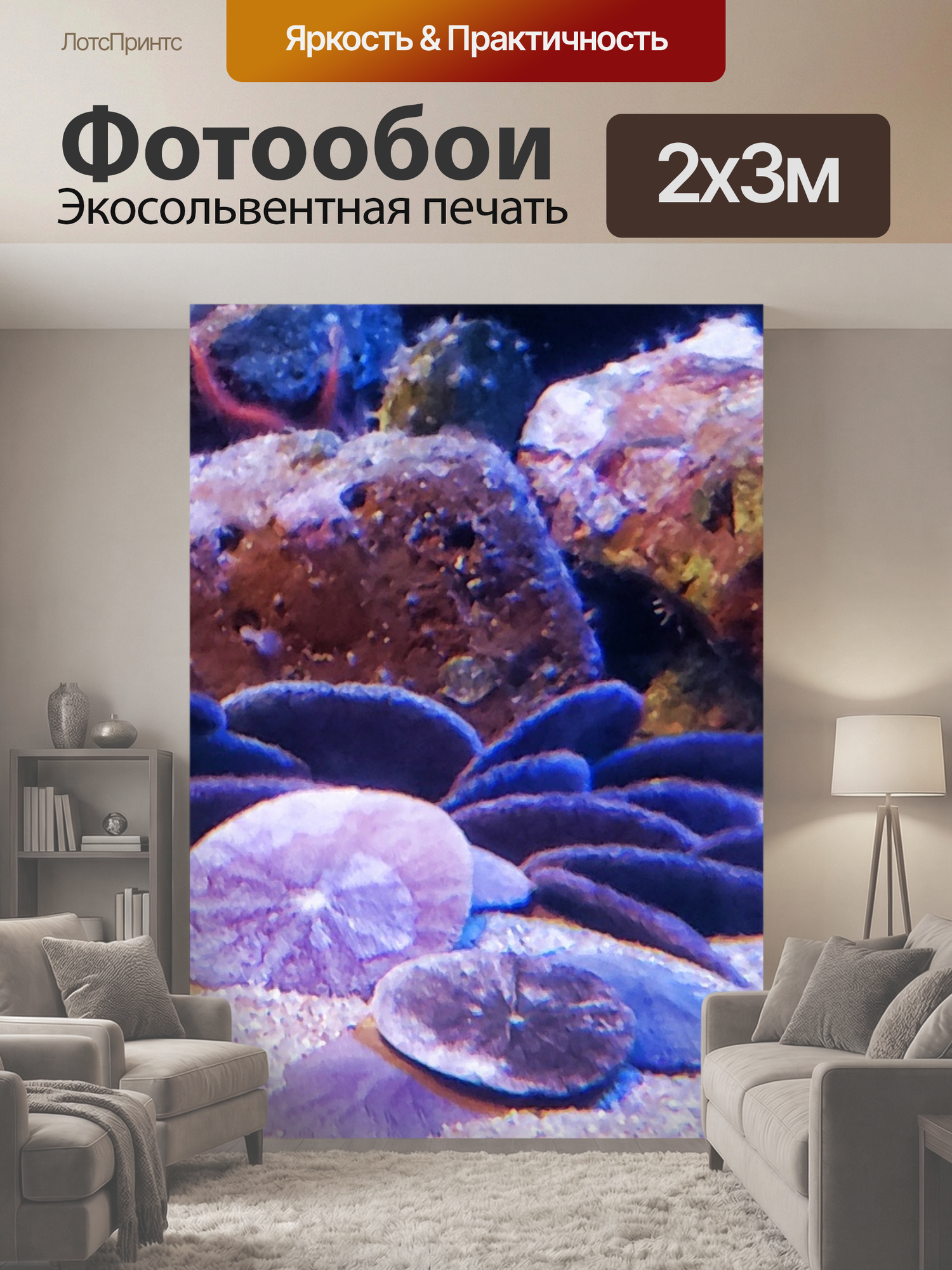 Фотообои "Сан-доллары баннер горизонтальное изображение песчаных долларов в аквариуме аквариум песочные доллары морская жизнь океан соленая вода." 200x300 см. экосольвентная печать