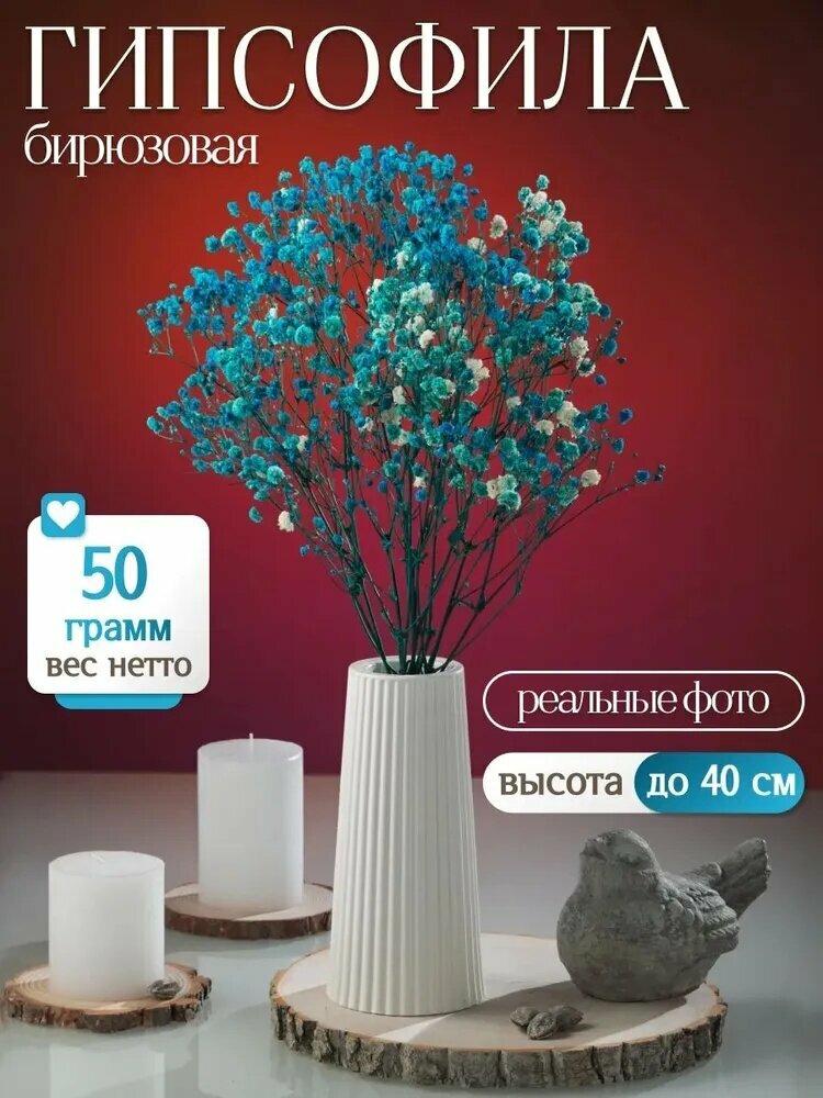 Стабилизированные цветы Гипсофила, 40 см, 80 гр, 1 шт