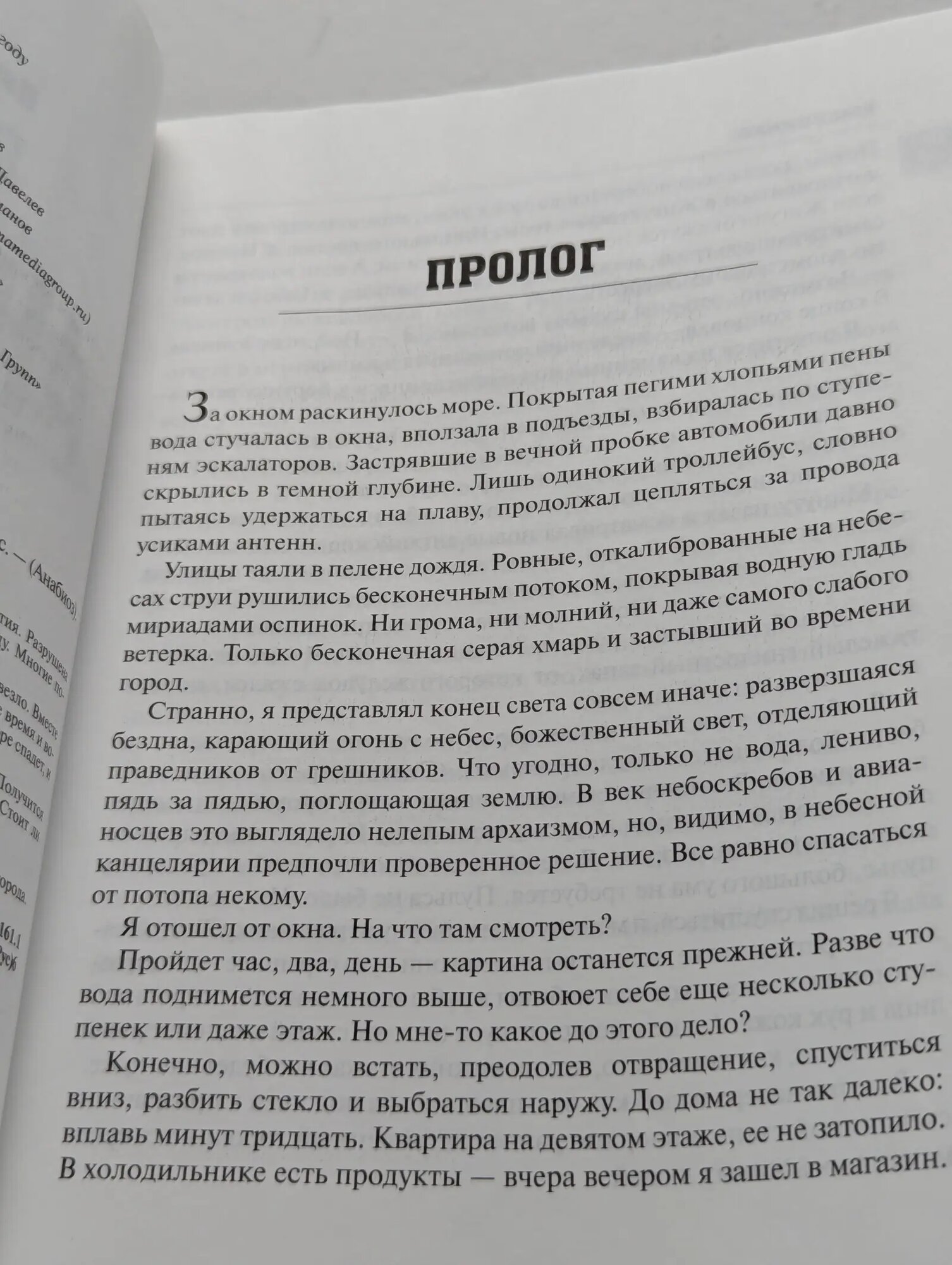 Анабиоз. Ковчег Кузнецов Иван Сергеевич 2012 — фото 1