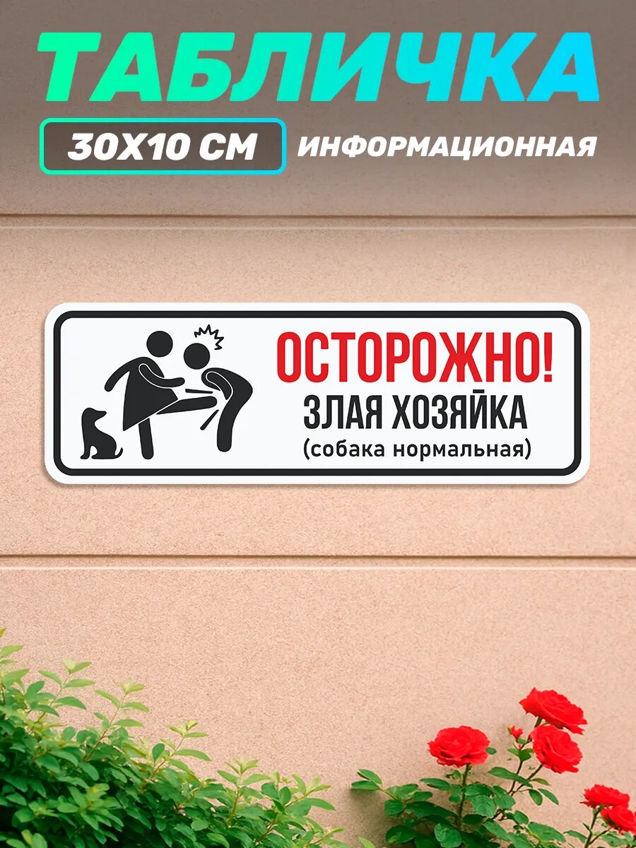 Табличка на дверь прикольная Мем злая хозяйка