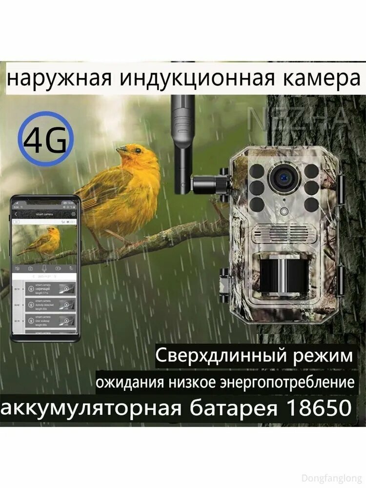Фотоловушка