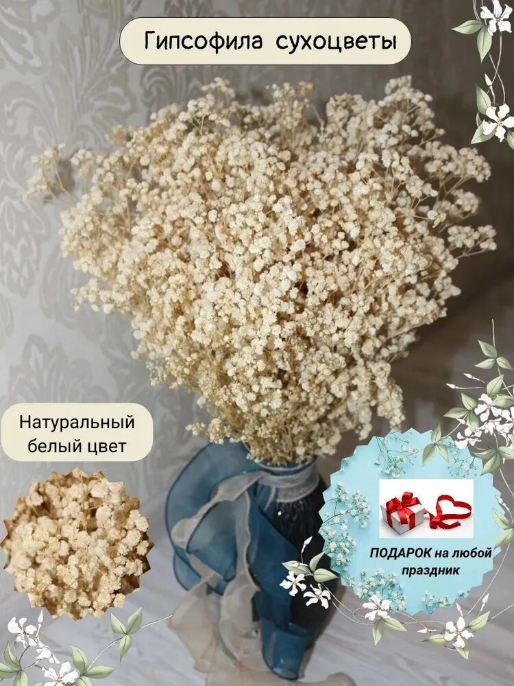 Сухоцветы Гипсофила, 50 см, 50 гр