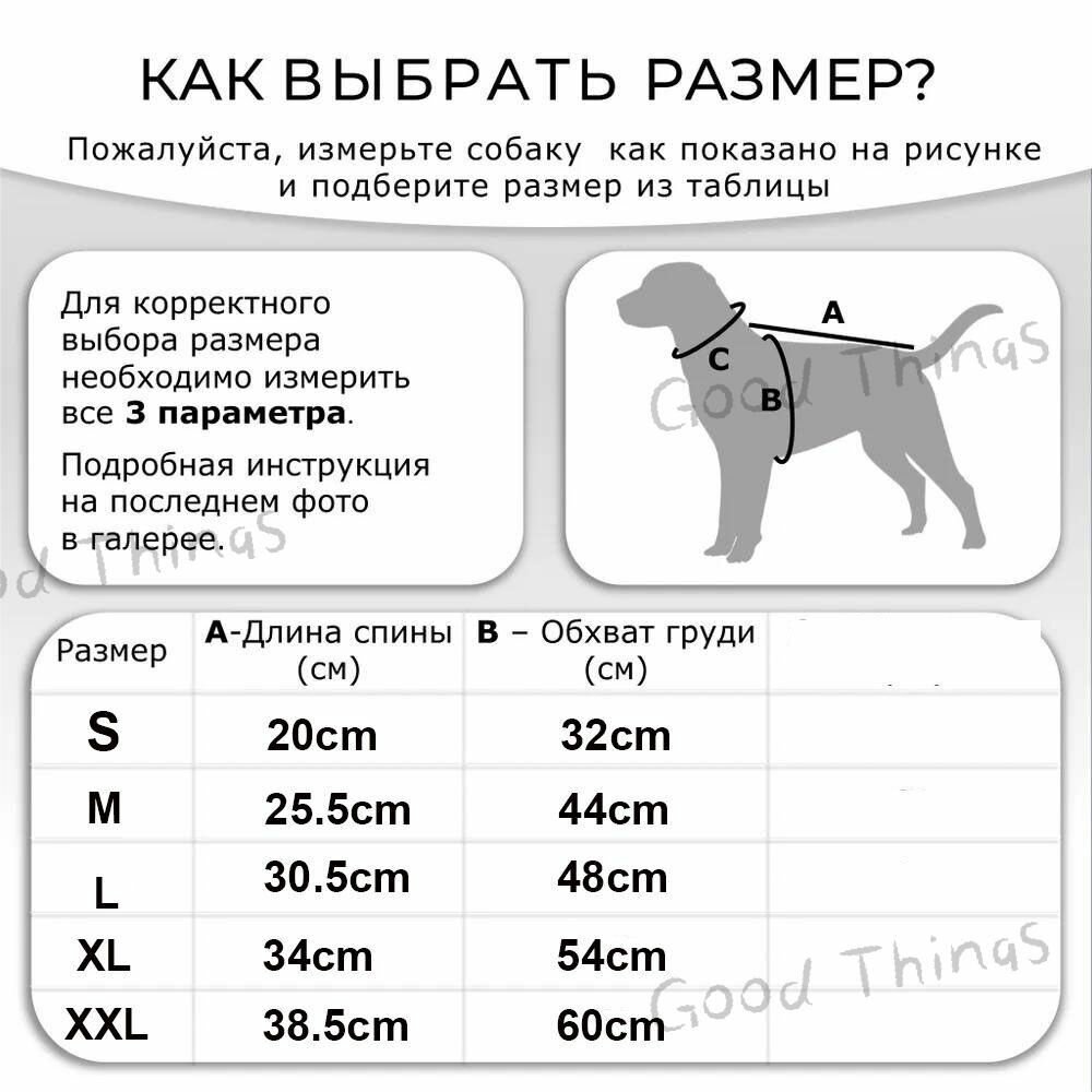 Одежда для животных — фото 1