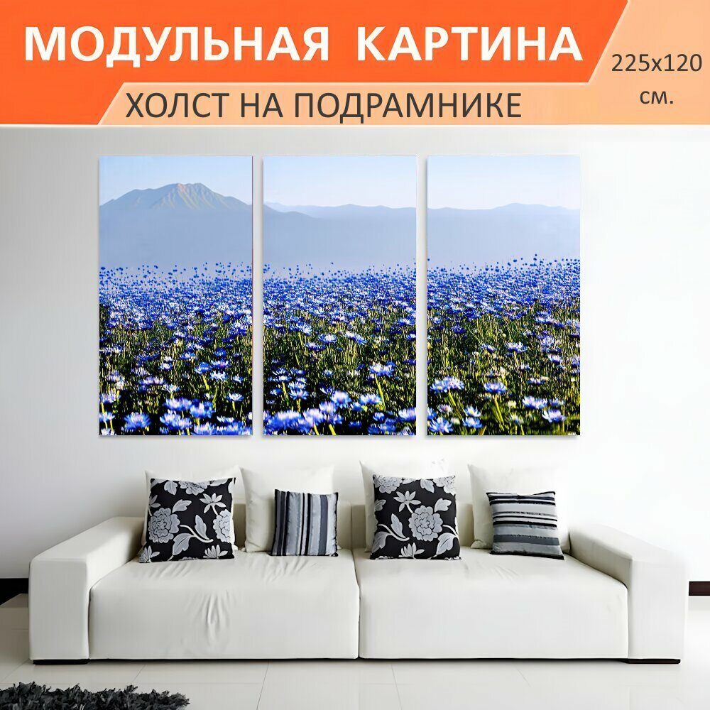 Модульная картина на холсте "Поле васильков, полное ярких синих цветков, простирается до самого горизонта, на фоне которого виднеются." триптих на подрамнике 225х120 см. для интерьера