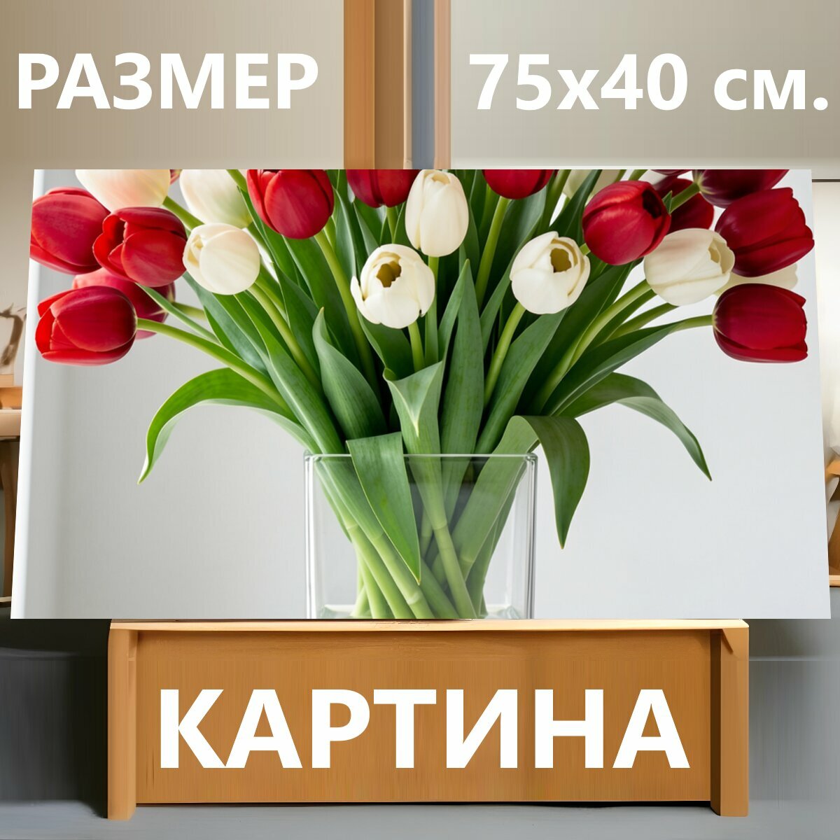 Картина на холсте "Красные и белые тюльпаны в вазе. Пышный букет весенних цветов в прозрачной стеклянной емкости, красно-белая гамма, зелёные." на подрамнике 75х40 см. для интерьера
