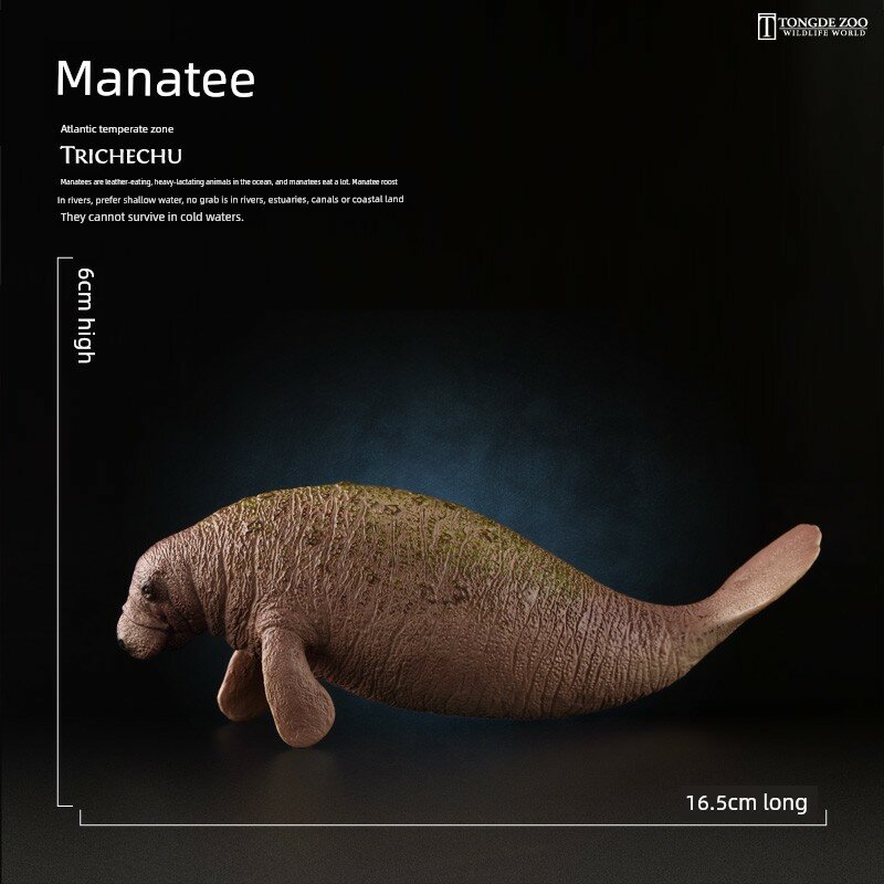 Реалистичная модель манати для детей, обучающая пластиковая игрушка, 100% ПВХ, безопасная для изучения океанических