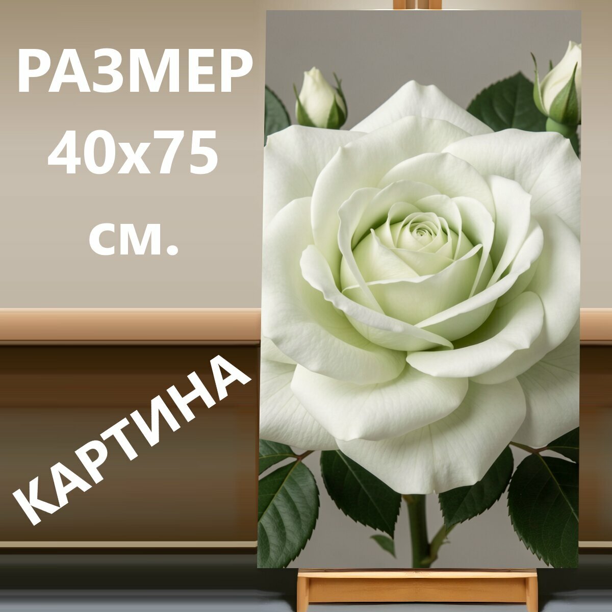 Картина на холсте "Белая роза с бутонами. Нежный цветочный сюжет с крупным кремово-белым соцветием и несколькими нераскрытыми бутонами, сочная." на подрамнике 75х40 см. для интерьера