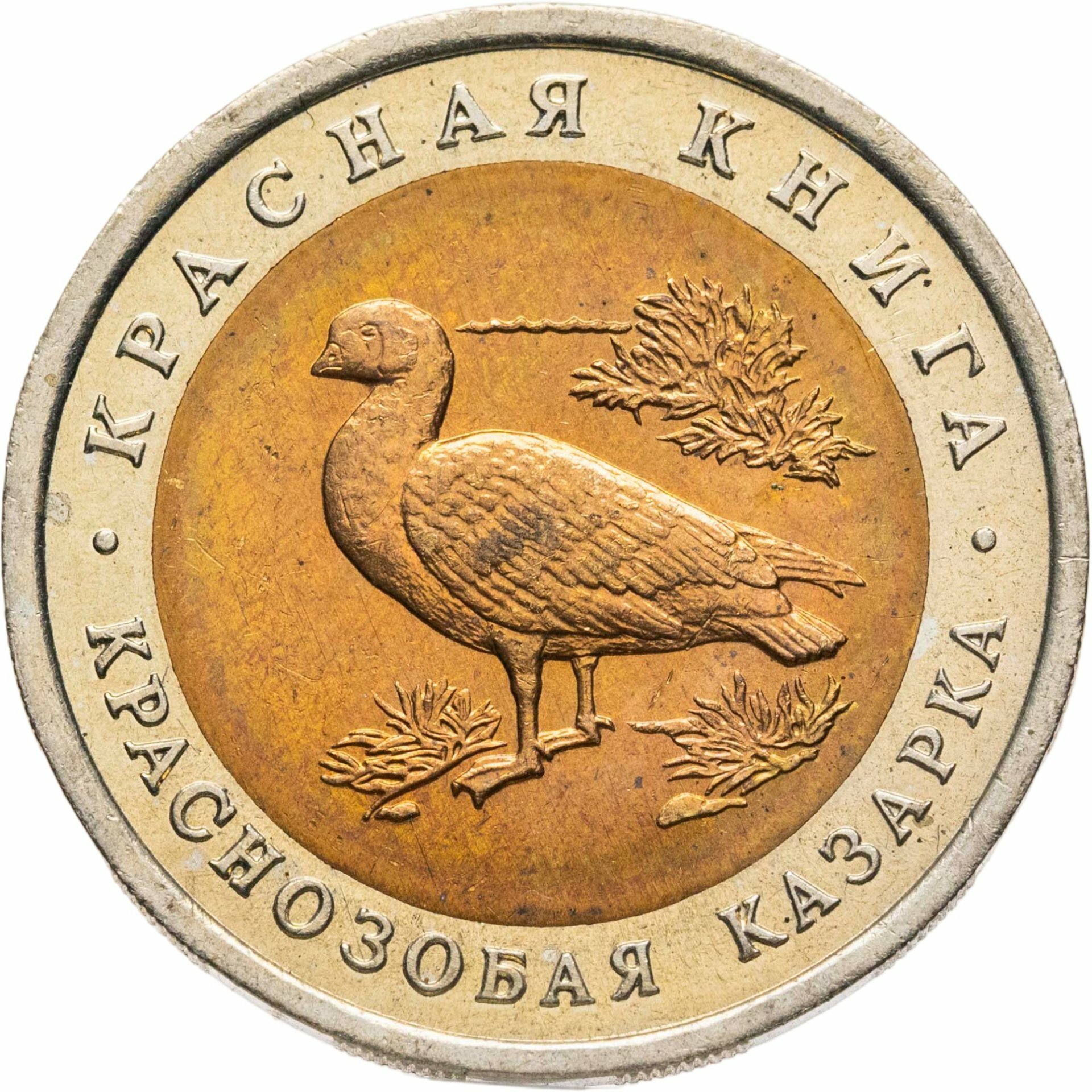 10 рублей 1992 ЛМД краснозобая казарка, Биметалл, в сохранности AU-UNC