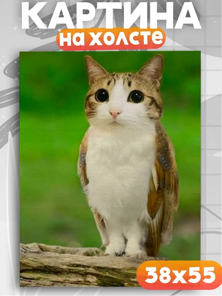 Картина на стену Meowl мем Котосова, на подрамнике, 1шт, 55х38 размер.