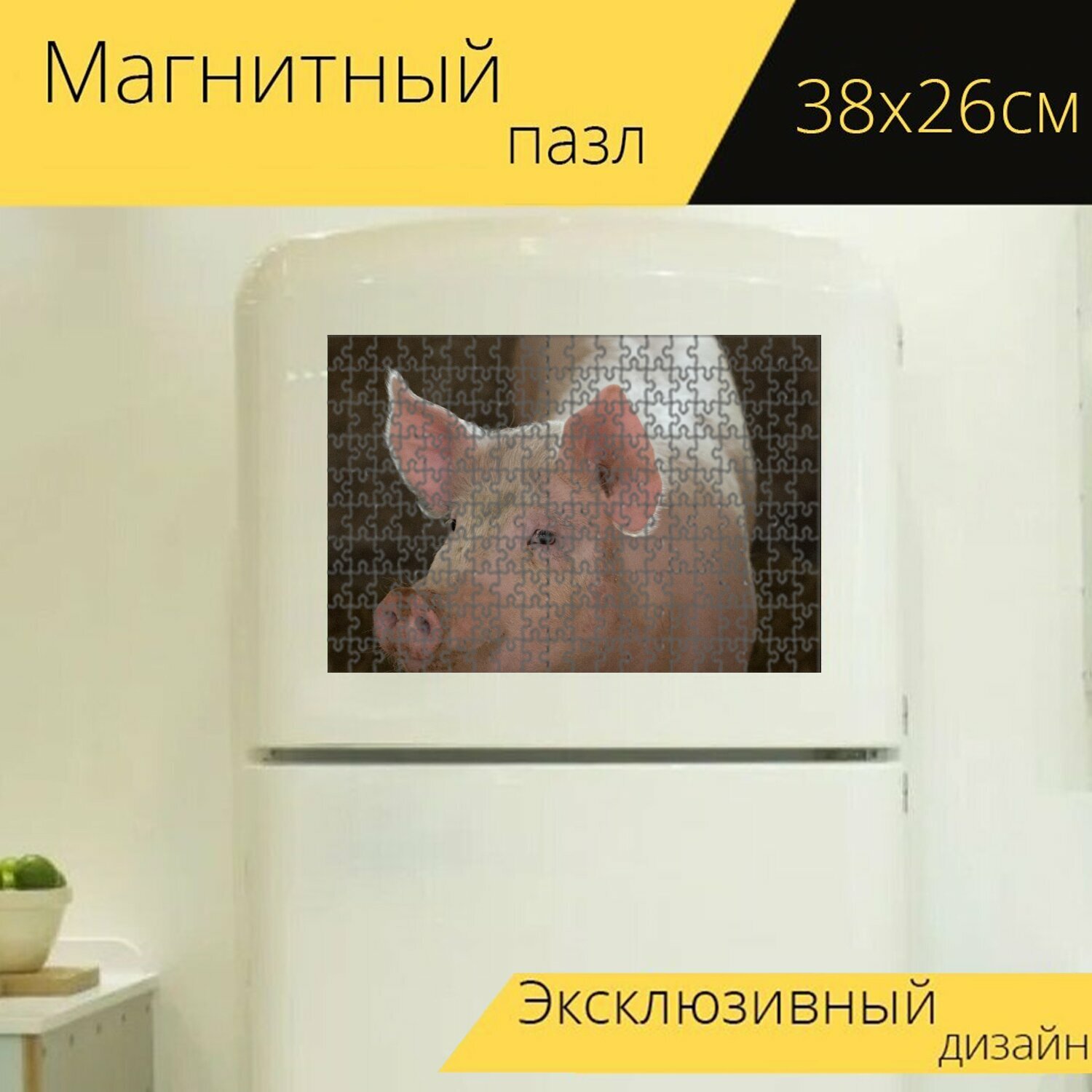 Магнитный пазл "Свинья смотрит Свинья на ферме сельское хозяйство животноводство внутренний ферма смешно свинья нос поросенок свиней розовый свинина морда свиньи" для интерьера, 38х26 см.