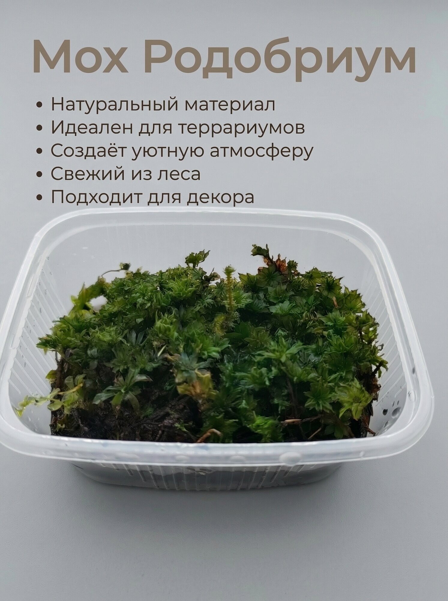 Мох родобриум свежий лесной 250 мл