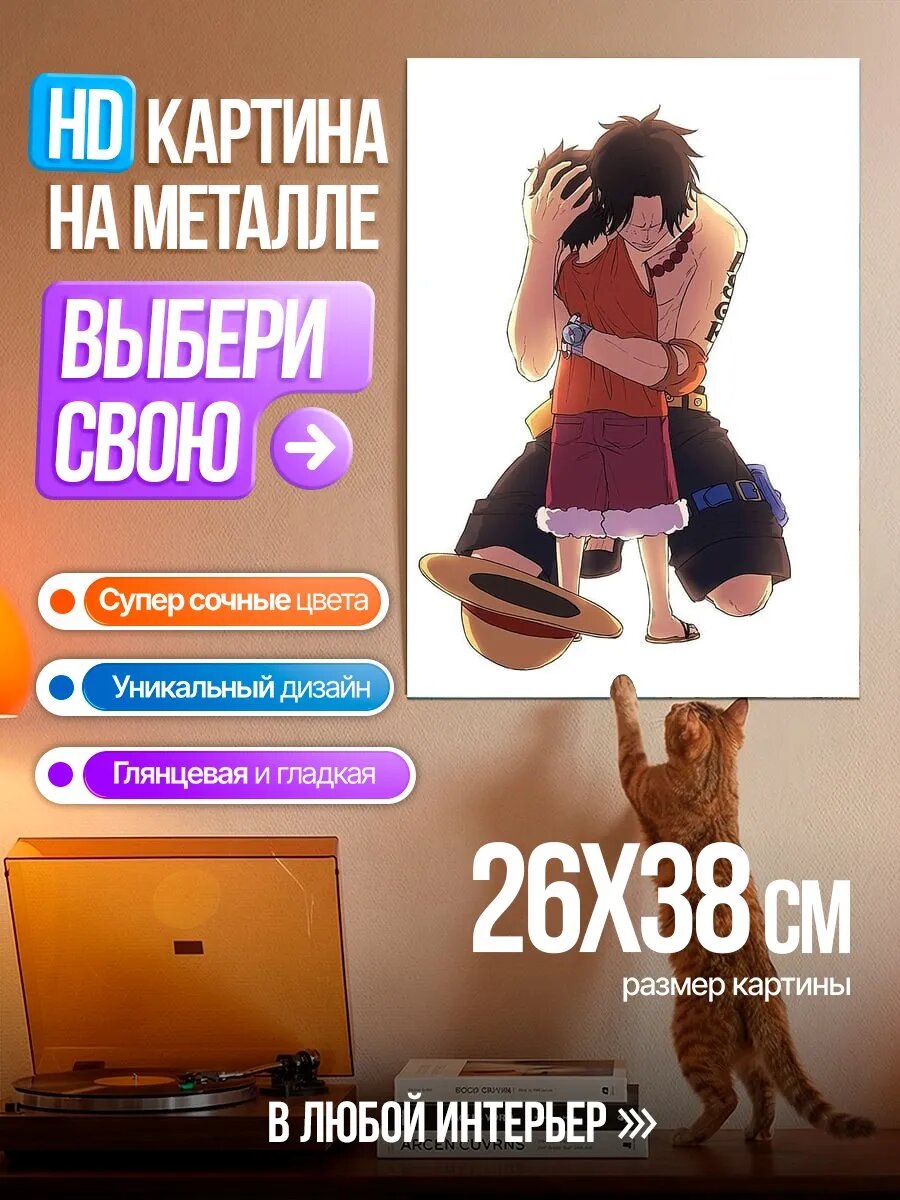 Картина на HD металле Братья из Ван Пис