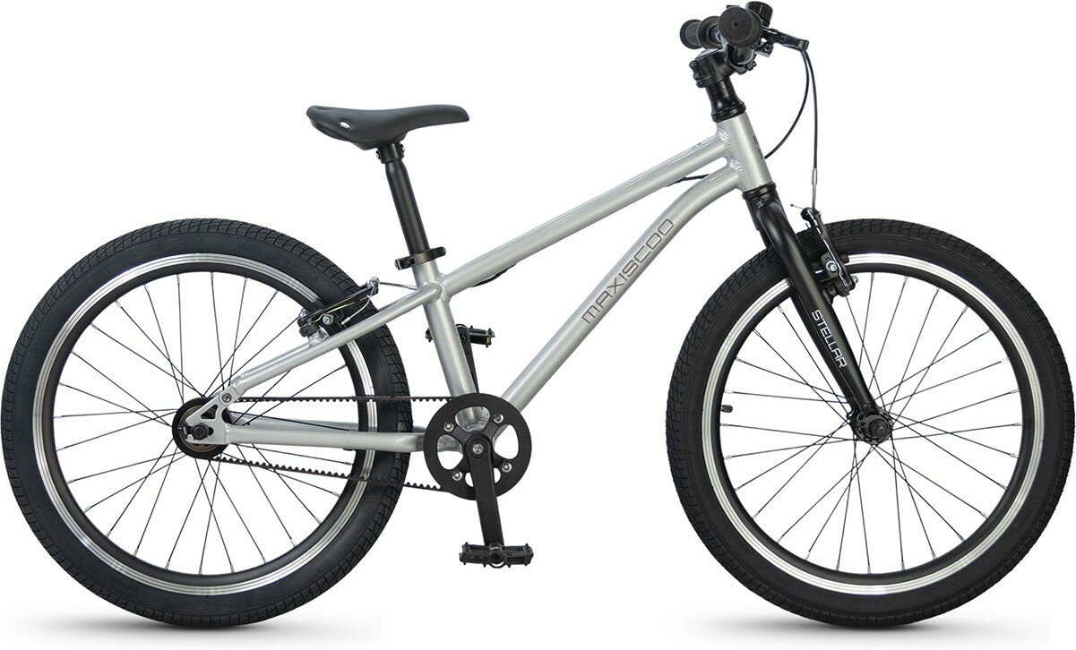 Велосипед Maxiscoo Stellar Standard 20 (2026) (110-130 см), серебро