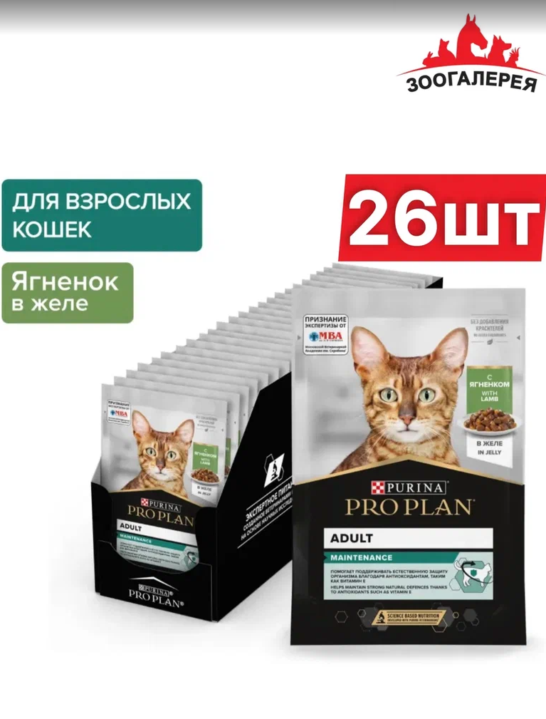 Влажный корм для кошек взрослых Pro Plan MAINTENANCE 26шт х 85г, Ягненок в желе