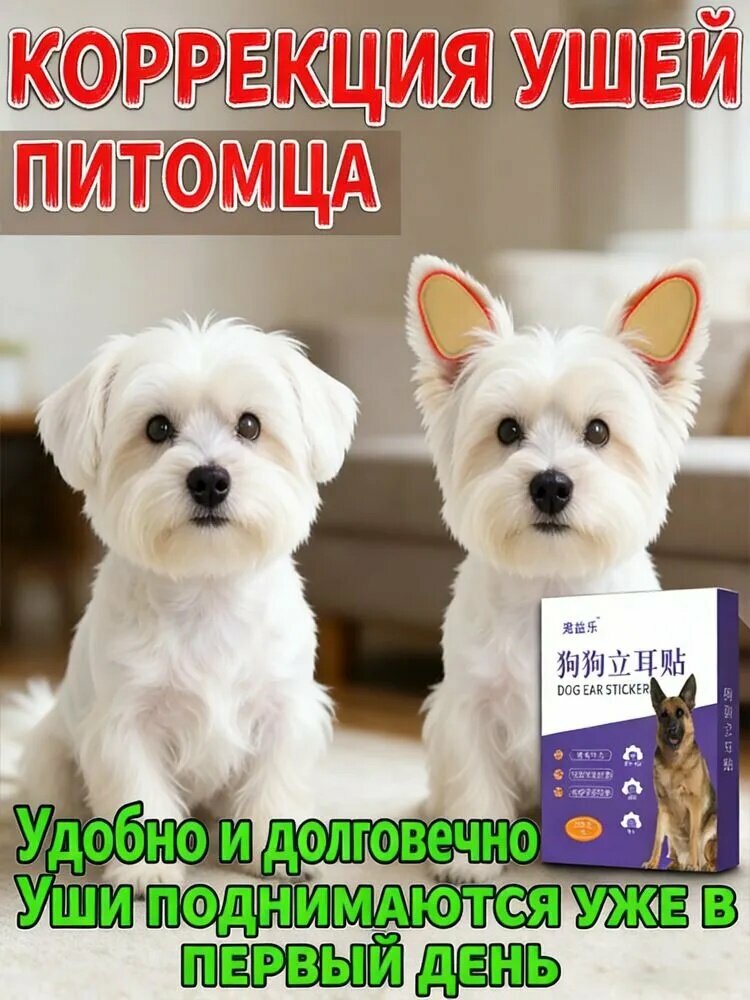 Специальные пластыри для коррекции ушей собак