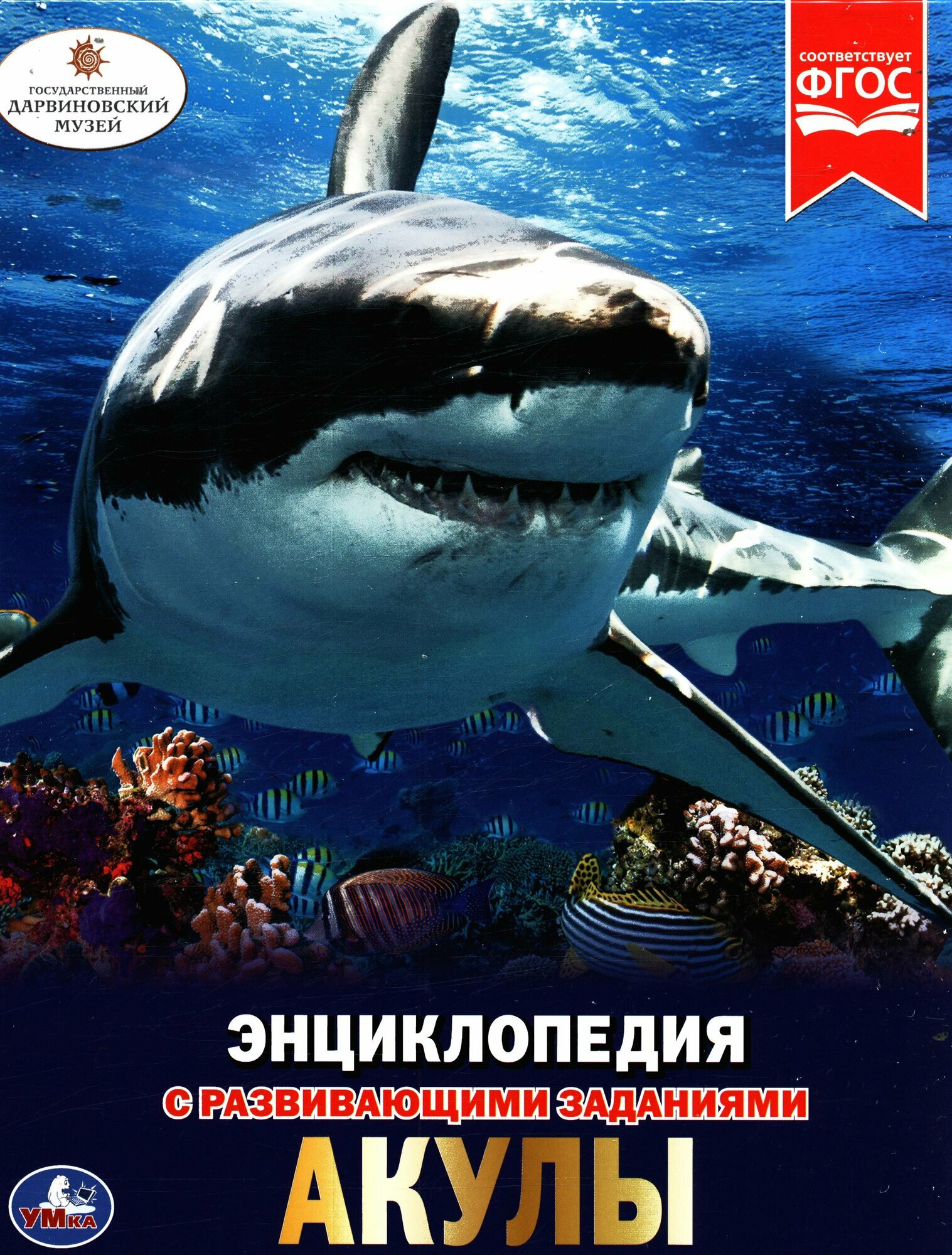Энциклопедия Акулы (с развивающими заданиями), (Умка, 2022), 7Бц, c.48