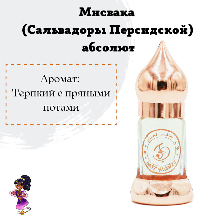 Сальвадора Персидская (Мисвак) абсолют East Nights