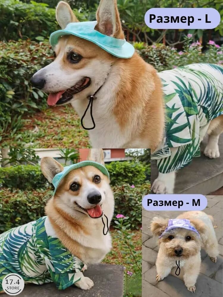 Одежда для животныхHUR — фото 1
