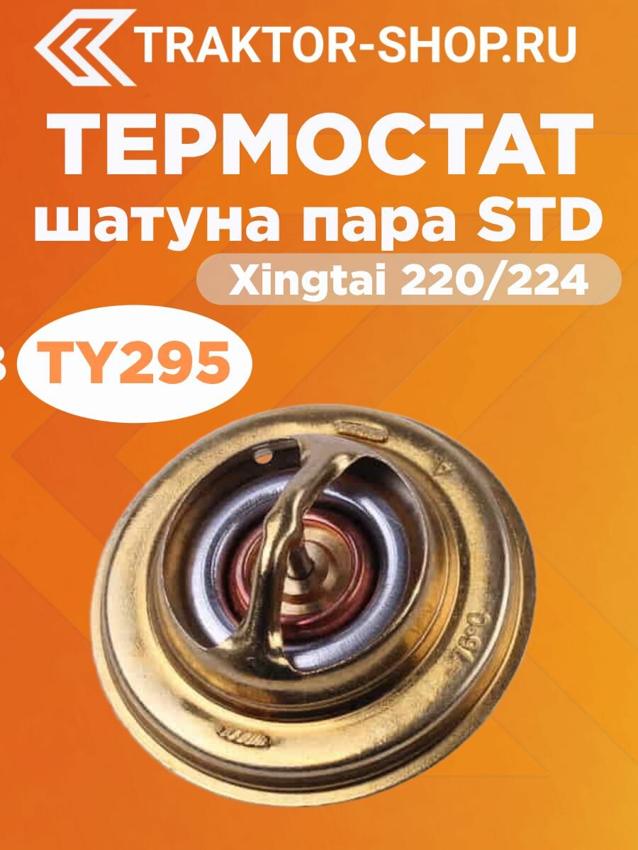 Термостат TY295 Xingtai 220/224