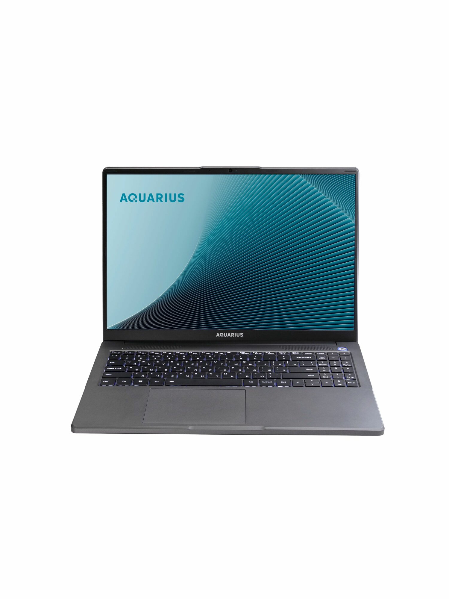 Ноутбук для работы и учебы, Ноутбук AQUARIUS Cmp NE356 NE356153318S125SCN2TMANNN2