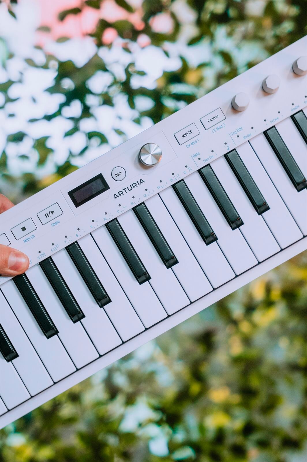 Arturia KeyStep 37 MK2 Миди контроллер — фото 1