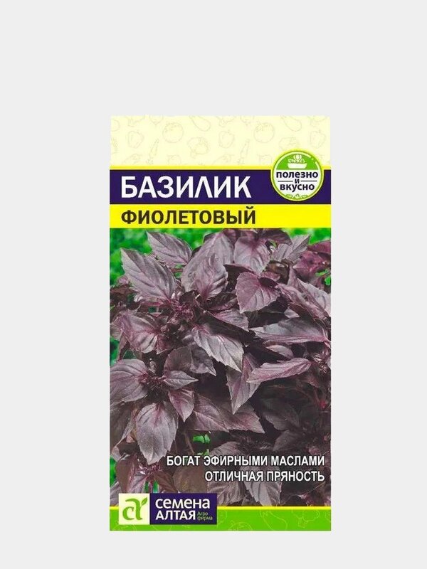 Базилик фиолетовый