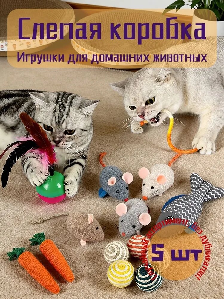 Слепая коробка, Игрушки для домашних животных, Игрушки для кошек, 5 шт