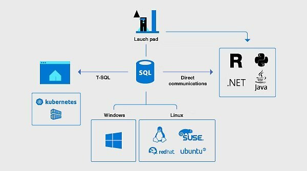 СУБД Microsoft SQL Server 2019, Standard, бессрочная лицензия — фото 1