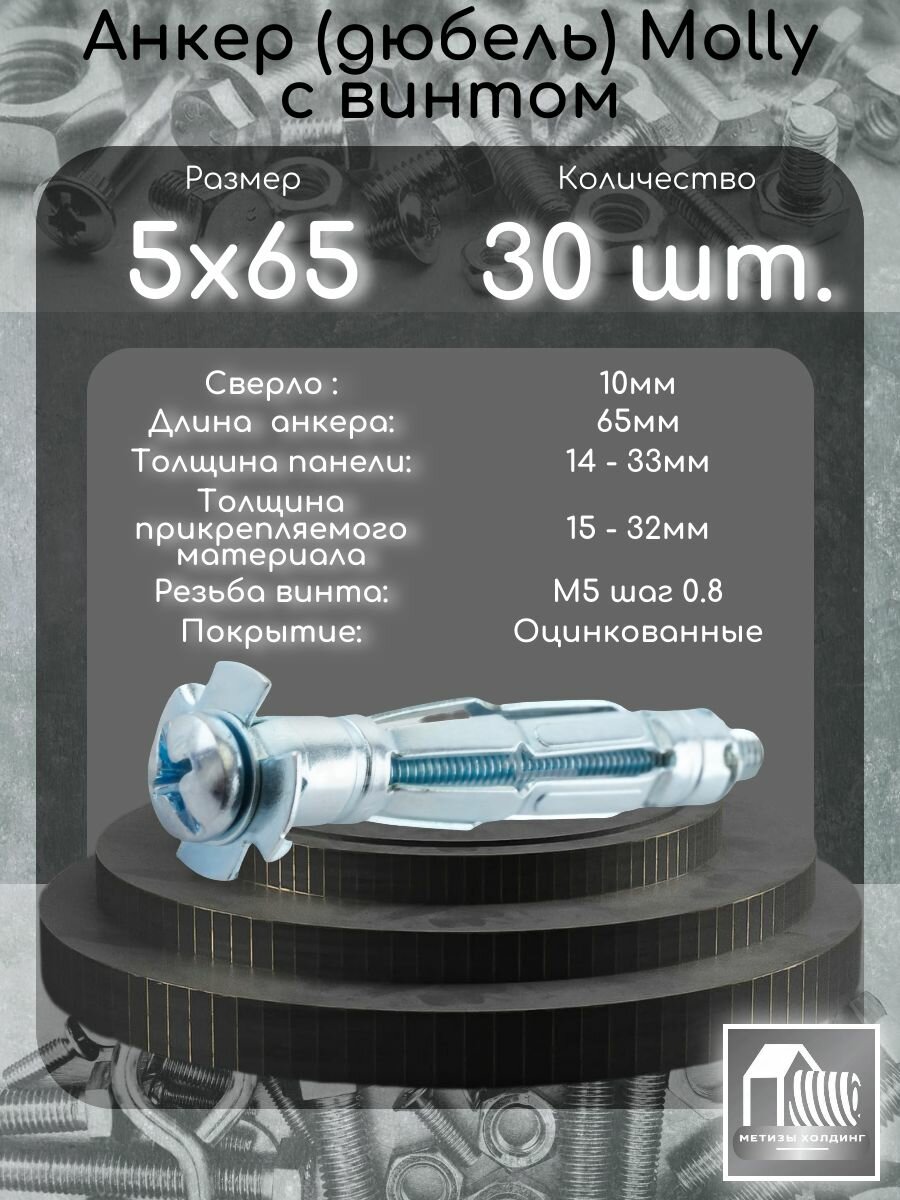Анкер Молли 5х65 (Дюбель) с винтом для листовых материалов, комплект из 30 штук