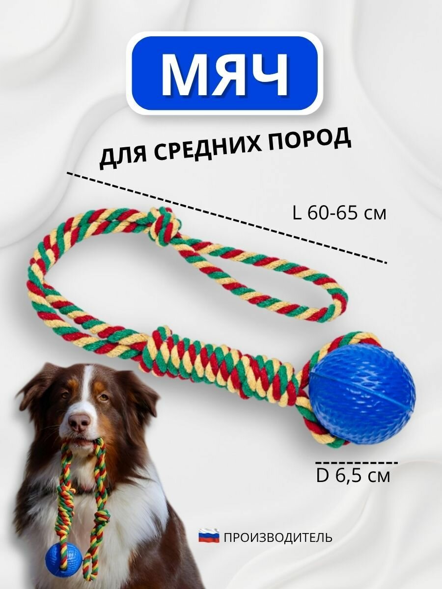 Игрушка для собак средних пород сибирский ПЁС мяч с бон-бон и ручкой синий