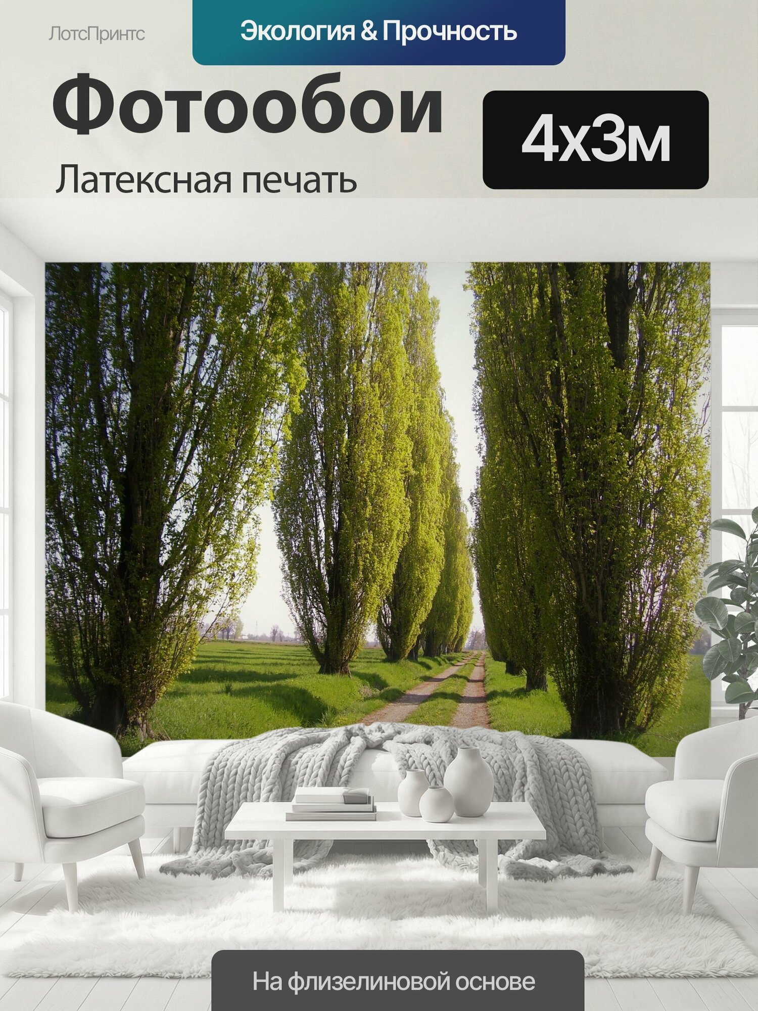 Фотообои моющиеся ударопрочные "Тополя, деревья, дороги обсаженной деревьями" 400x300 см. латексная печать