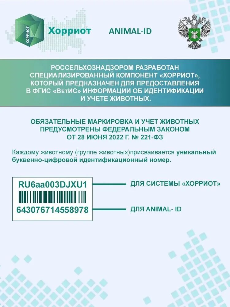 Микрочип для животных — фото 1