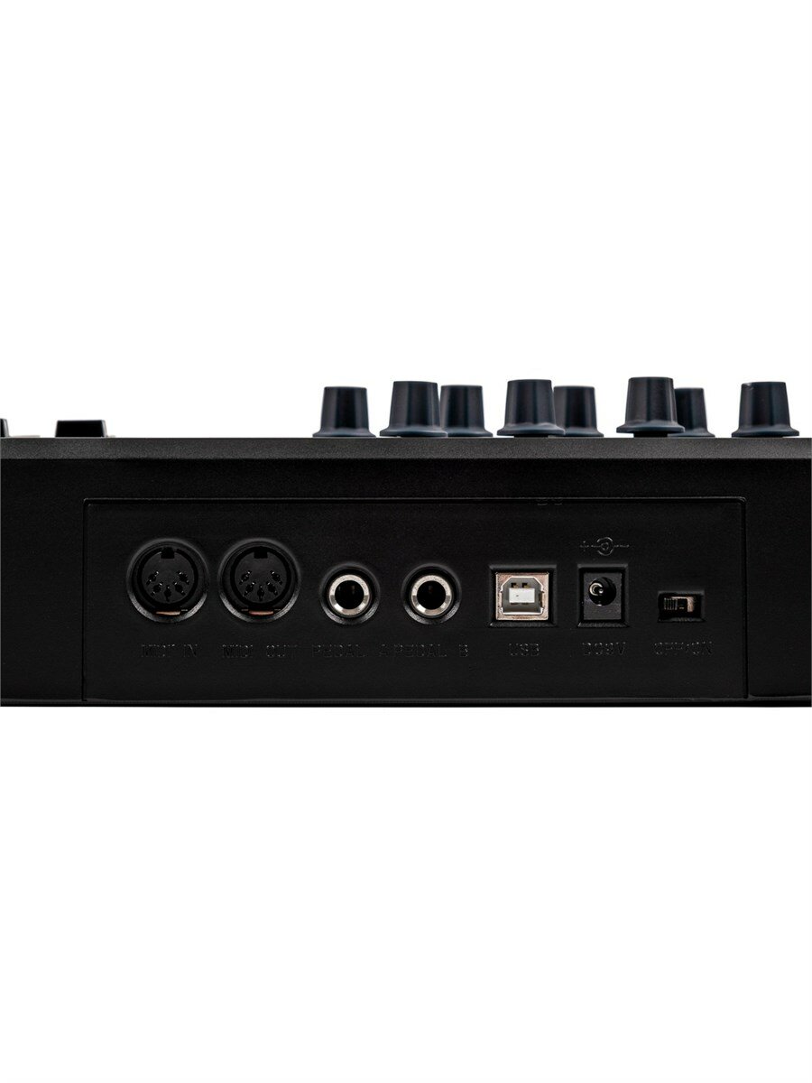MIDI-контроллер Laudio Panda-49C — фото 1