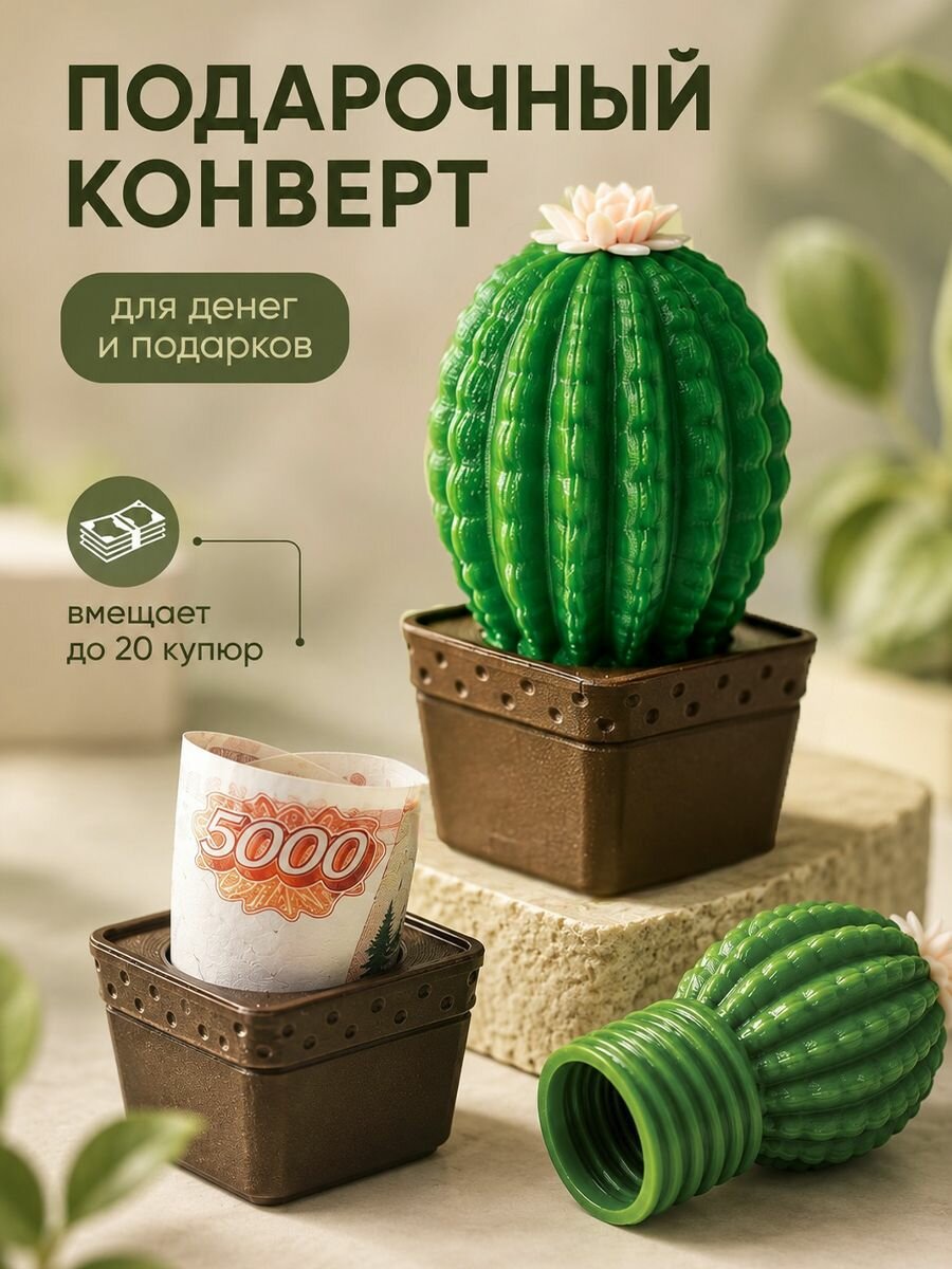 Подарочный конверт "Кактус"