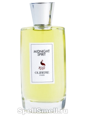 Аромат Олибере парфюм Миднайт Спирит для мужчин 50 мл / Olibere Parfums Midnight Spirit
