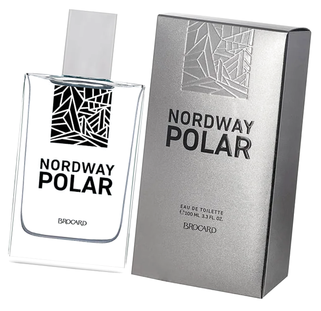 Brocard Nordway Polar мужская туалетная вода 100 мл / Брокард Нордвей Полар