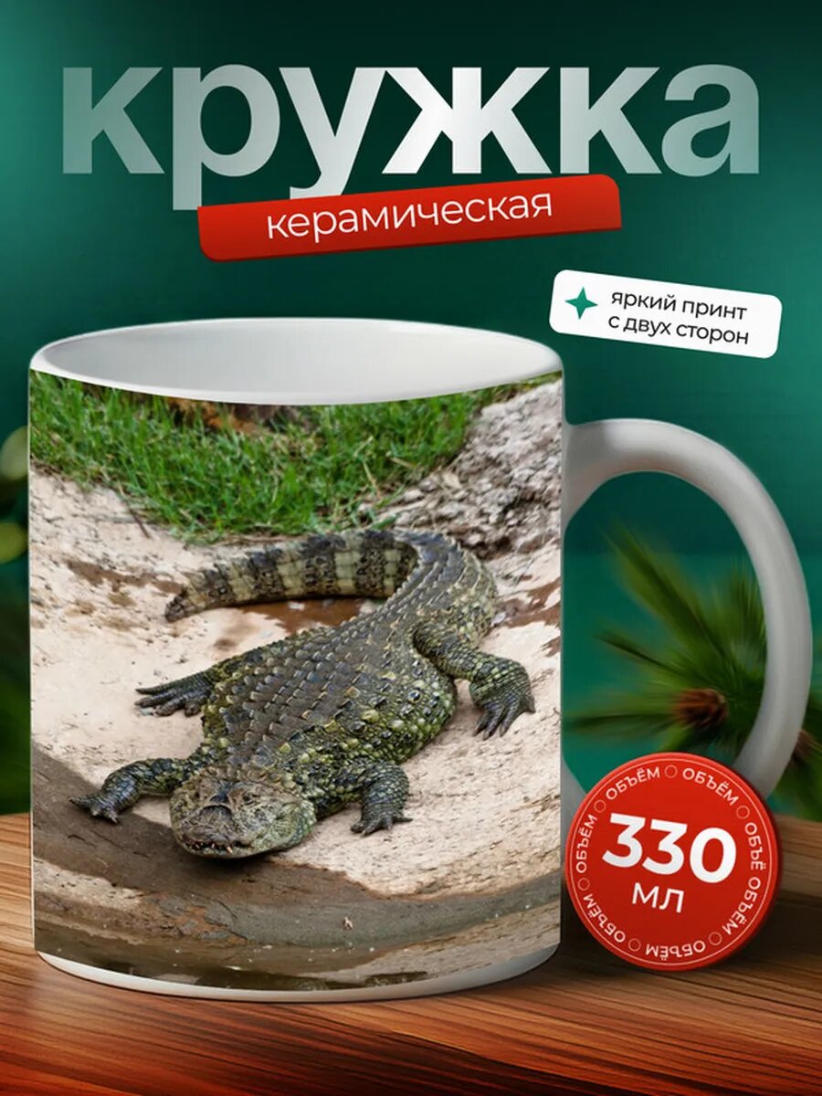 Кружка Ящерица рептилия 17,