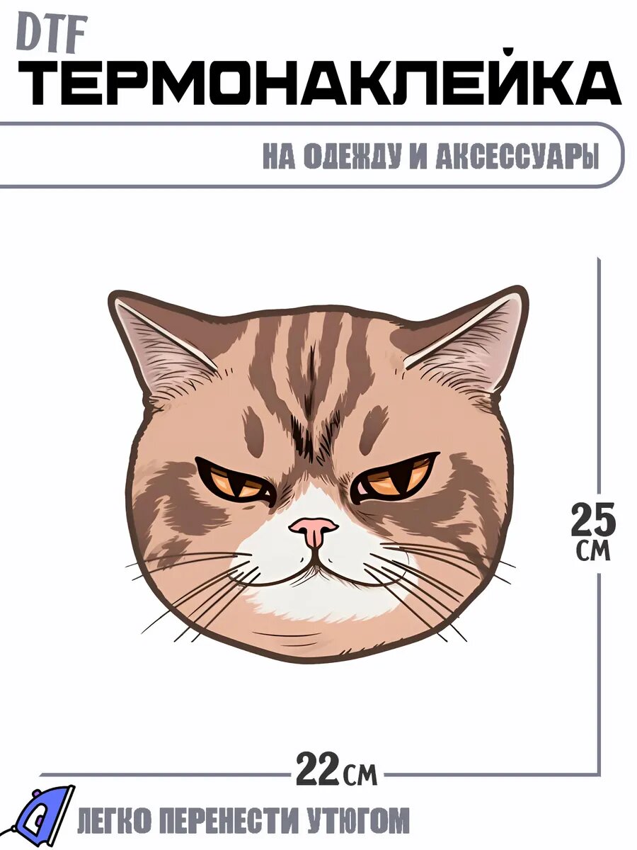 Термонаклейка Кот