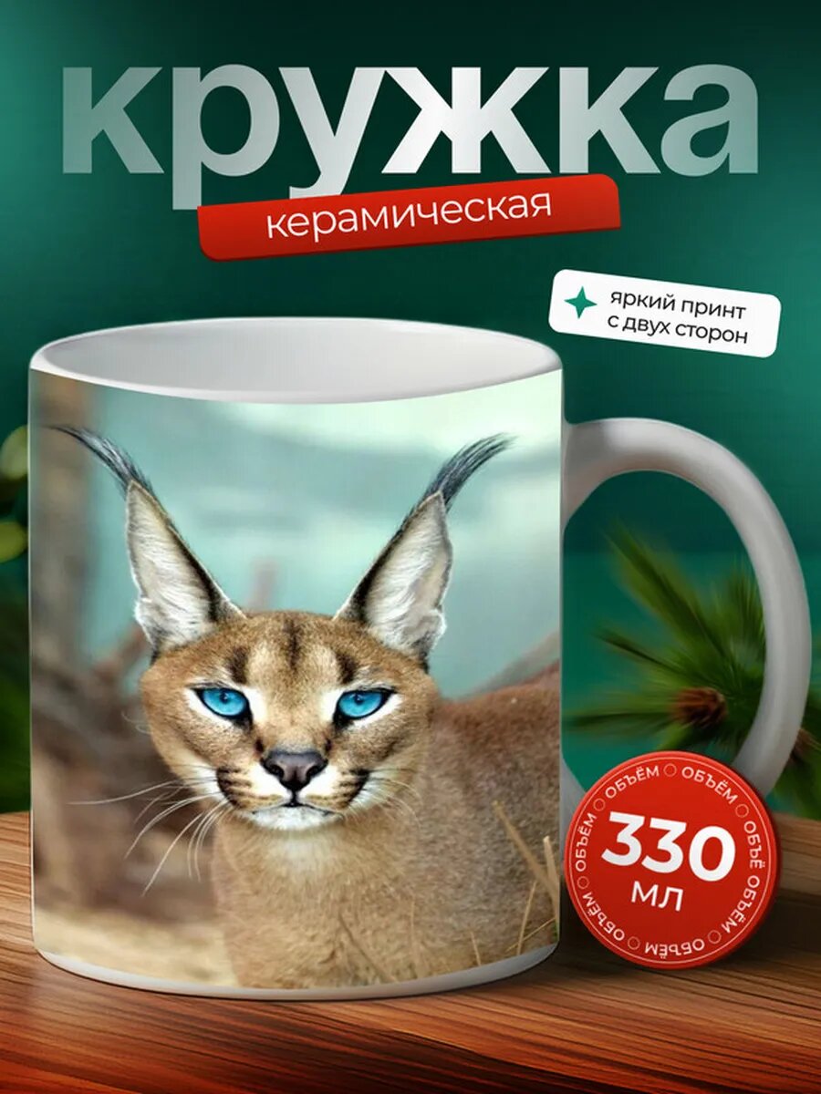 Кружка Каракал животное 17,