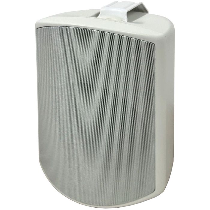 SVS Audiotechnik WSP-6W PRO Акустика всепогодная трансляционная