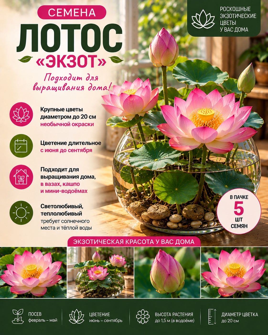 Лотос Экзот (домашний), семена 2026