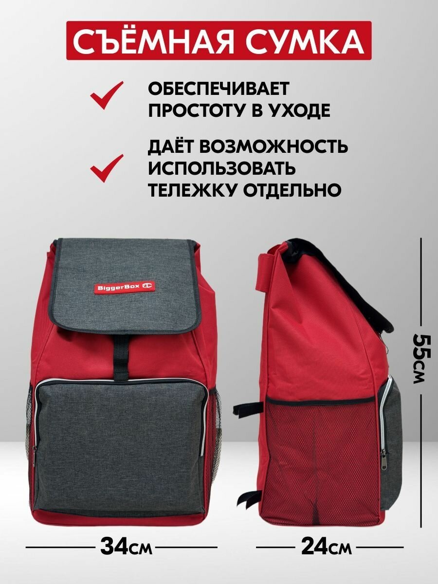 Сумка-тележка — фото 1