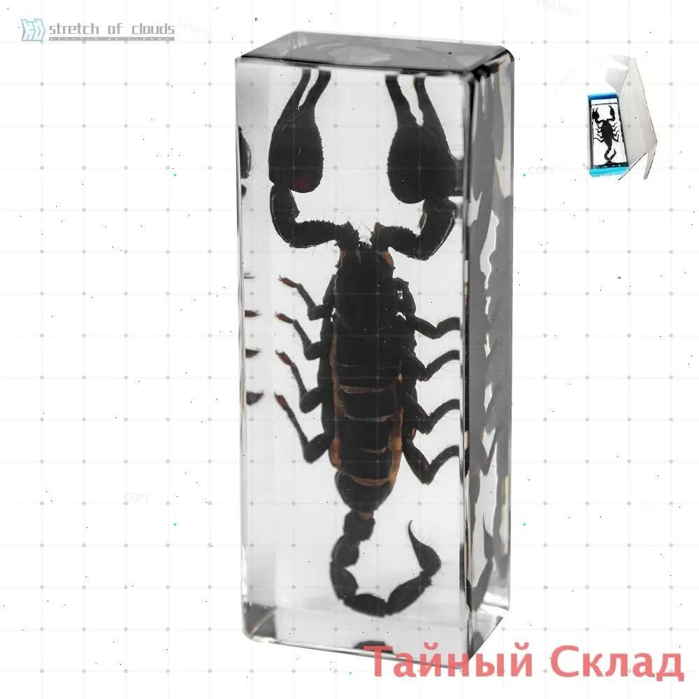 Коллекционирование насекомых Rainforest Scorpion Specimen - Скорпион в смоле, 11x4,5x2,8 см