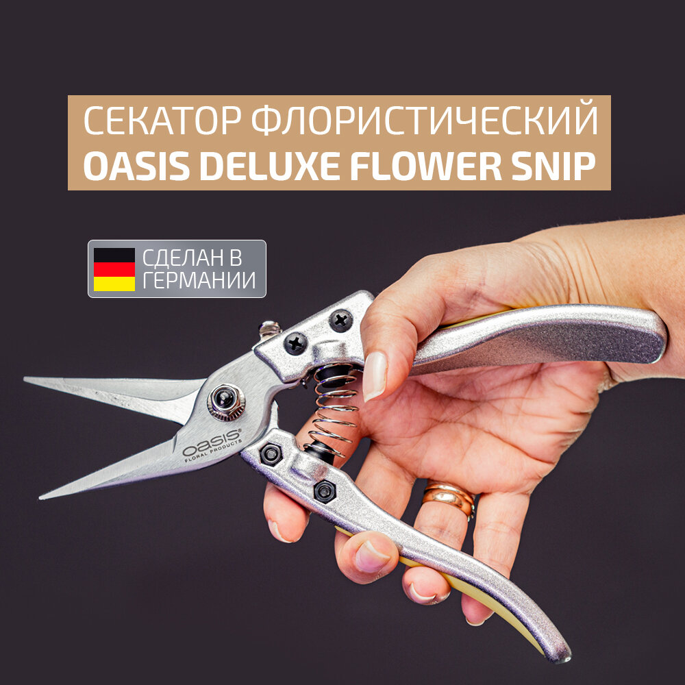 Ножницы