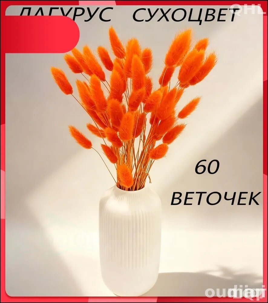 Сухоцветы Лагурус, 55 см, 100 гр, 60 шт