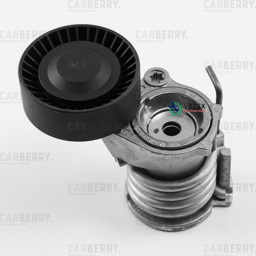 CARBERRY 55CA265 Натяжитель поликлин. ремня с роликом SKODA Fabia/Rapid/Roomster 01-VW Polo 01- 55CA265