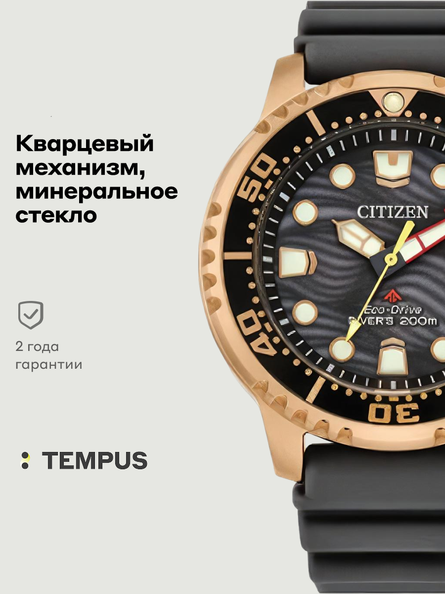 Наручные часы Promaster