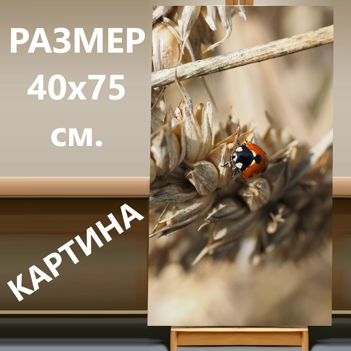 Картина на холсте "Божья коровка, жук, семь баллов" на подрамнике 75х40 см. для интерьера