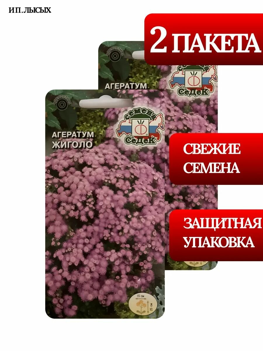Семена Агератум "Жиголо"