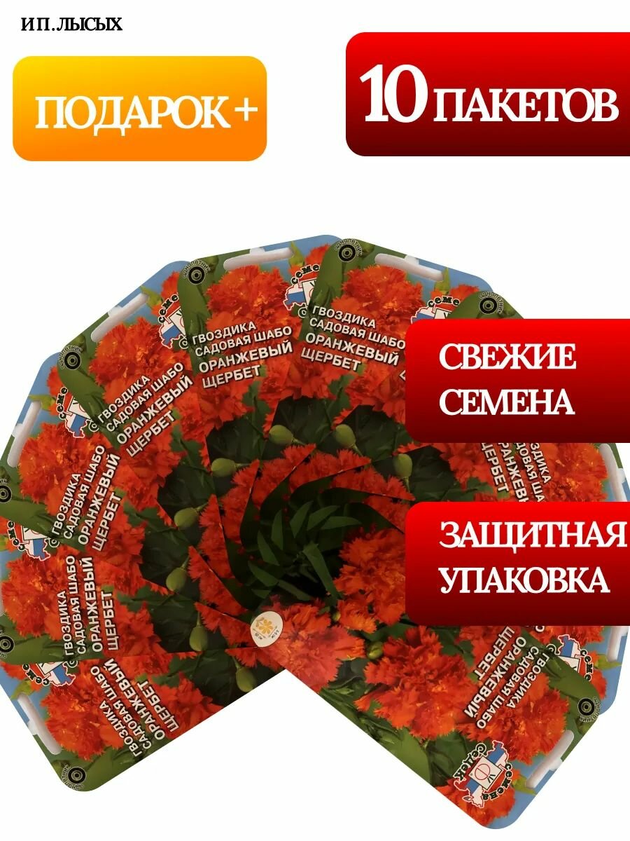 Семена Гвоздика "Оранжевый Щербет"